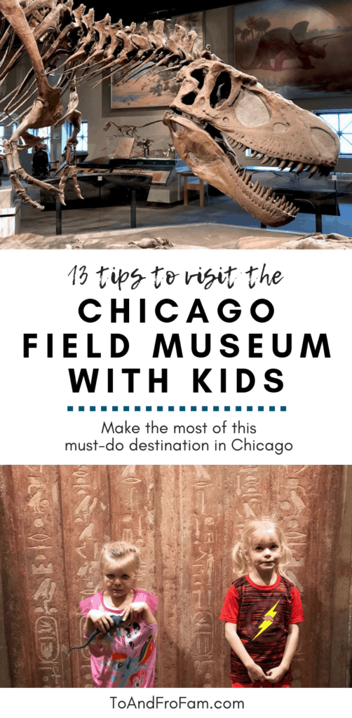 Make the most of a trip to the Field Museum with kids: Chicago family ...