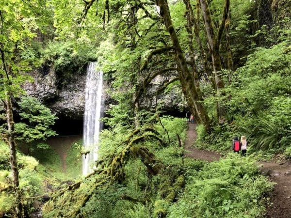 Shellburg Falls: A kid-friendly + easy waterfall hike near Salem, Oregon
