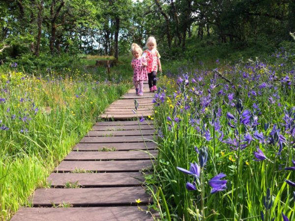 Best West Linn parks: Playgrounds, splash pads, hikes + more in Oregon