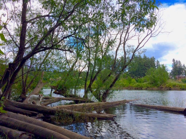 Best West Linn parks: Playgrounds, splash pads, hikes + more in Oregon