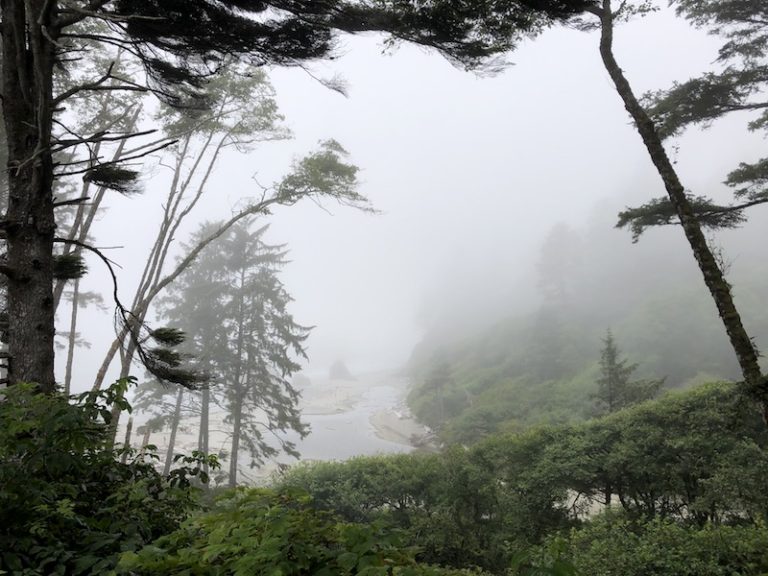 Dramatic Ruby Beach: Olympic National Park's gem in Washington