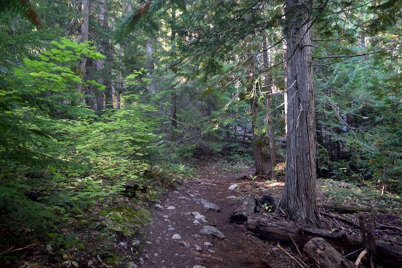 Stunning Lake Wenatchee: camping, hikes + more in this WA state park