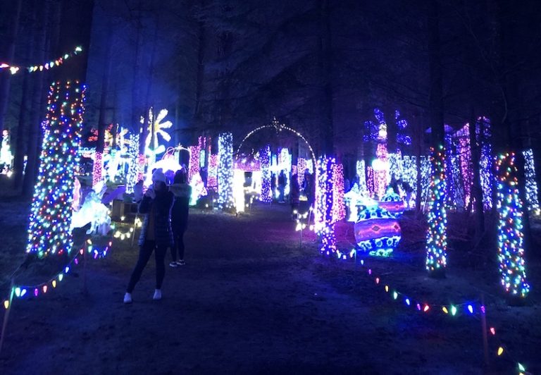 Christmas in the Garden: Oregon Garden lights Silverton Christmas Market