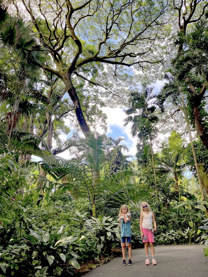 Hawaii Tropical Botanical Garden: Best things to do in Hilo, HI