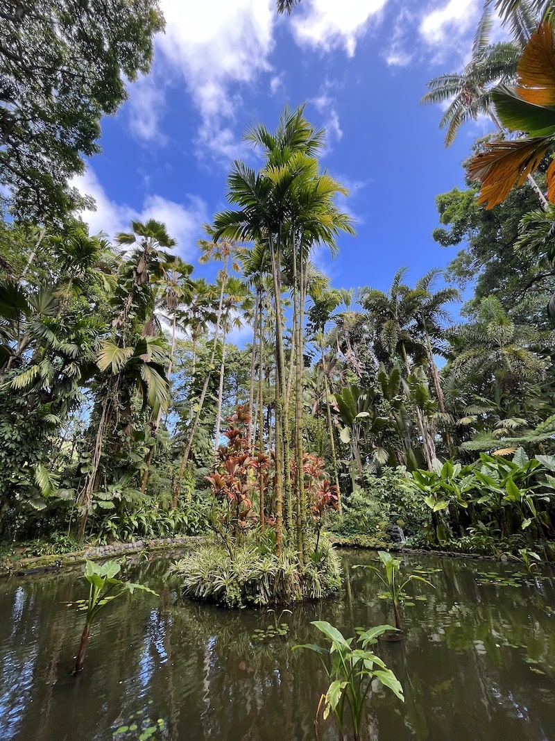 Hawaii Tropical Botanical Garden: Best things to do in Hilo, HI